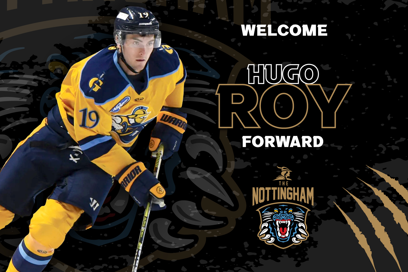 CANADIAN FORWARD ROY JOINS THE NOTTINGHAM PANTHERS - Nottingham Panthers